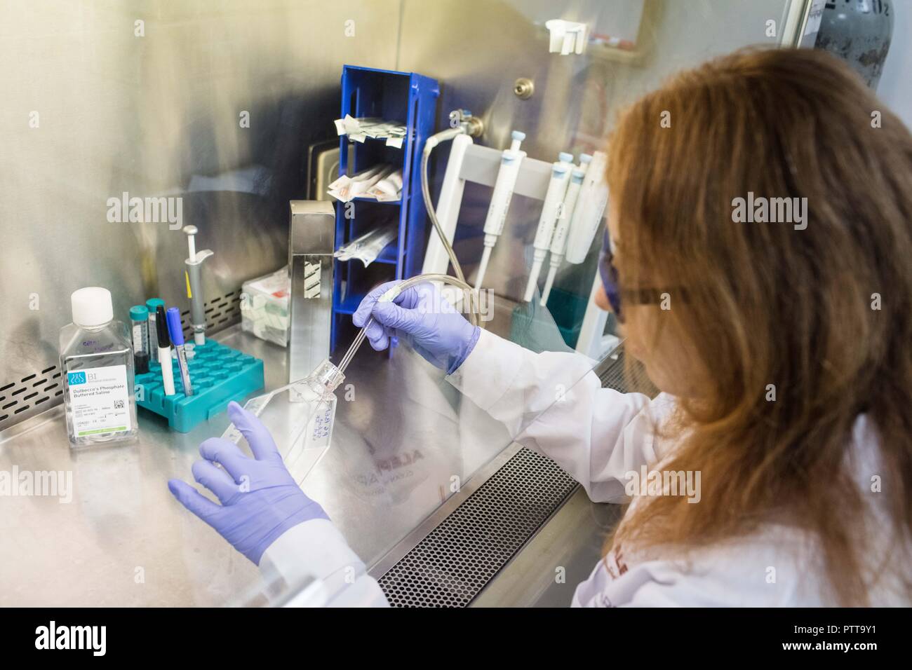 Grow cells hi-res stock photography and images - Alamy