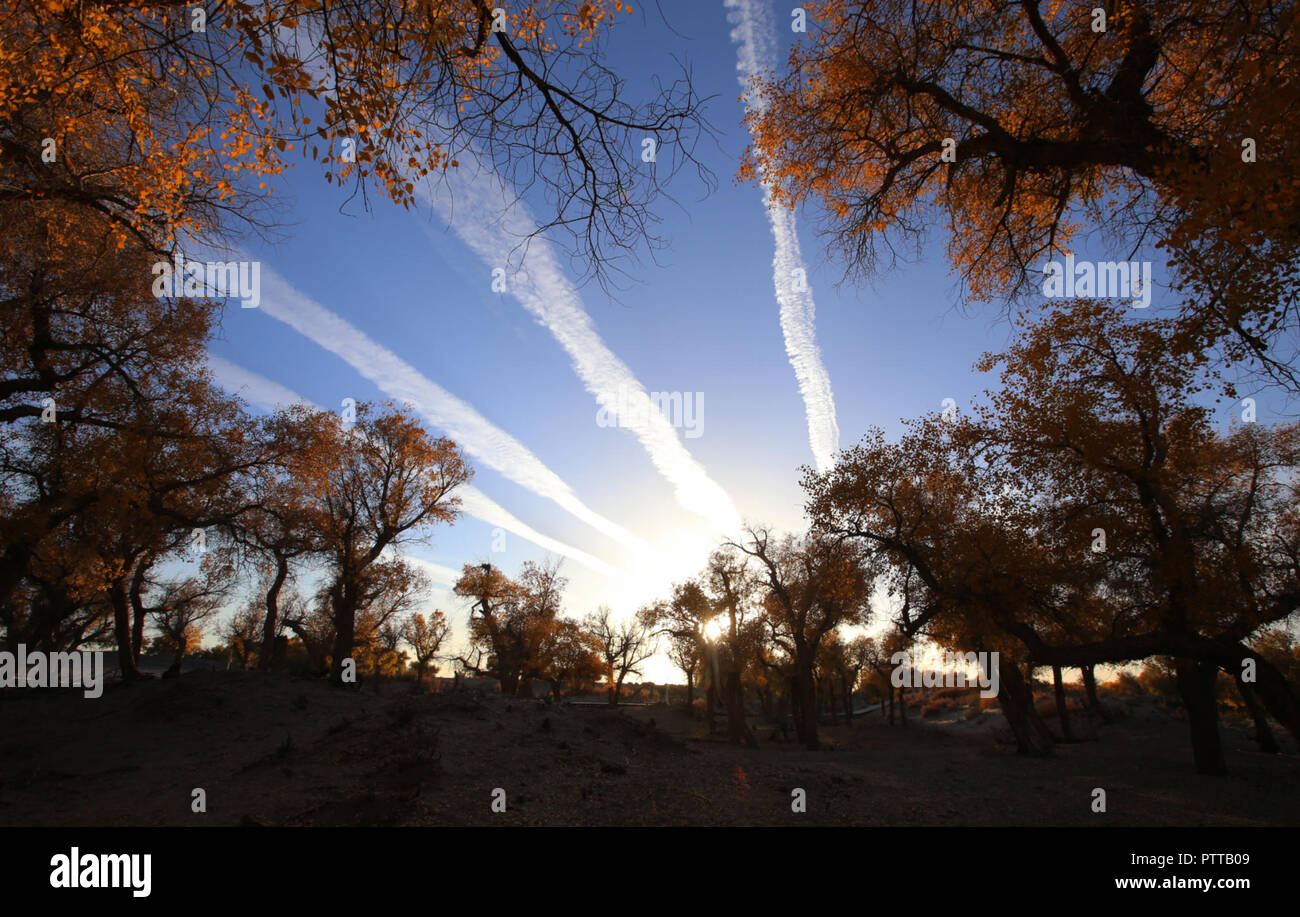 Ejin Banner, China's Inner Mongolia Autonomous Region. 10th Oct, 2018 ...
