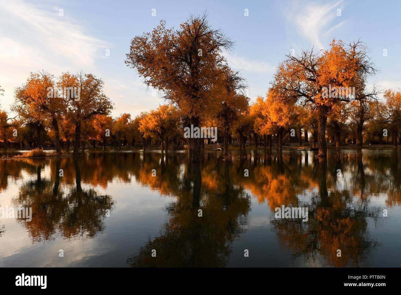 Ejin Banner, China's Inner Mongolia Autonomous Region. 10th Oct, 2018 ...