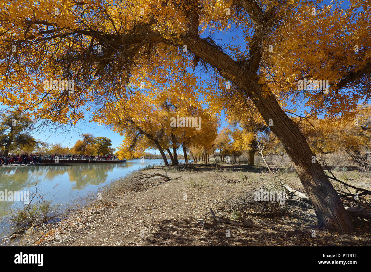 Ejin Banner, China's Inner Mongolia Autonomous Region. 10th Oct, 2018 ...