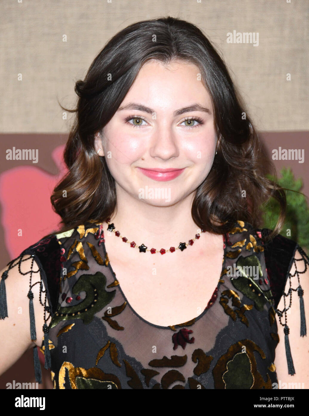 Wryn hi-res stock photography and images - Alamy