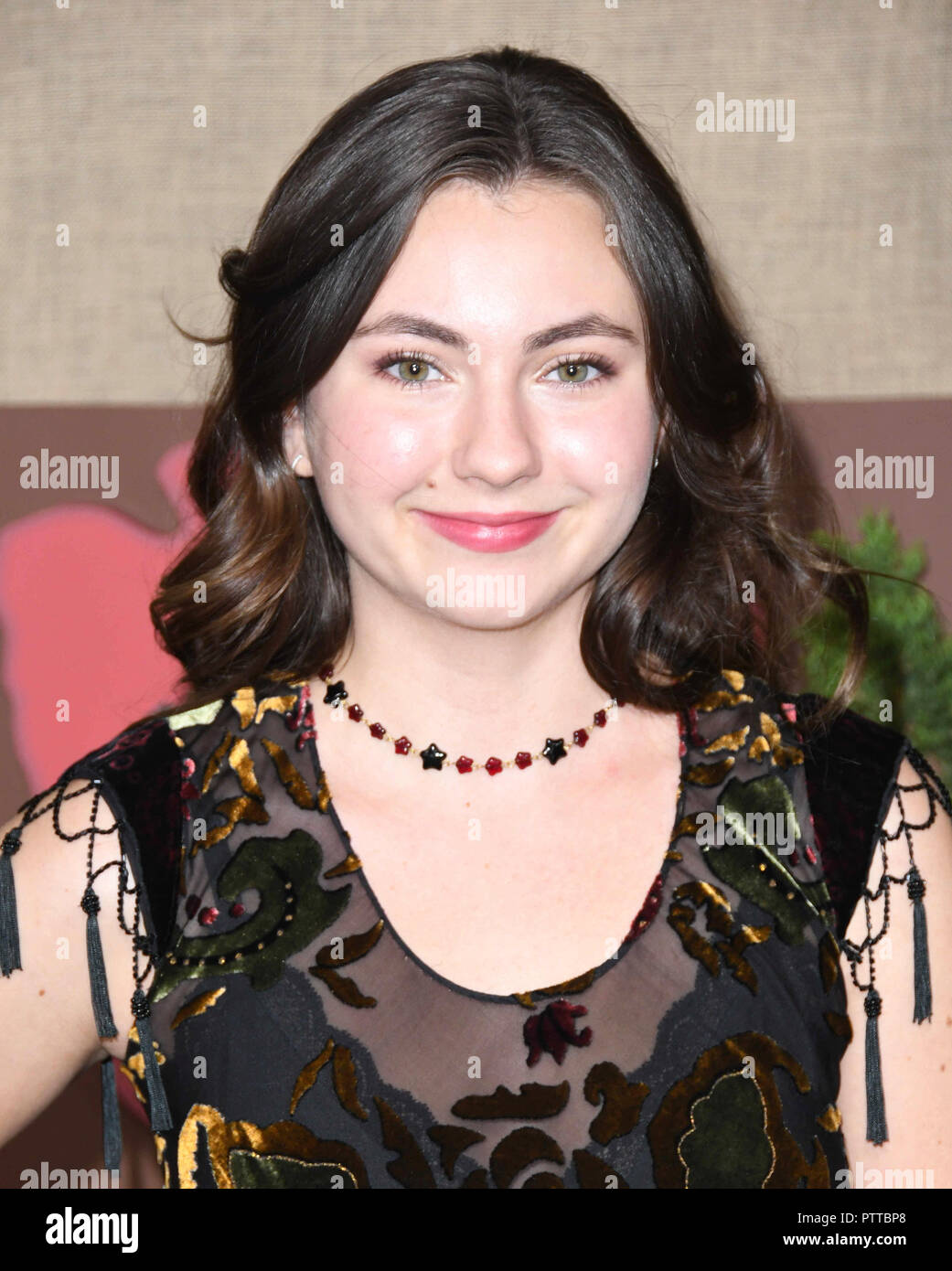 Wryn hi-res stock photography and images - Alamy