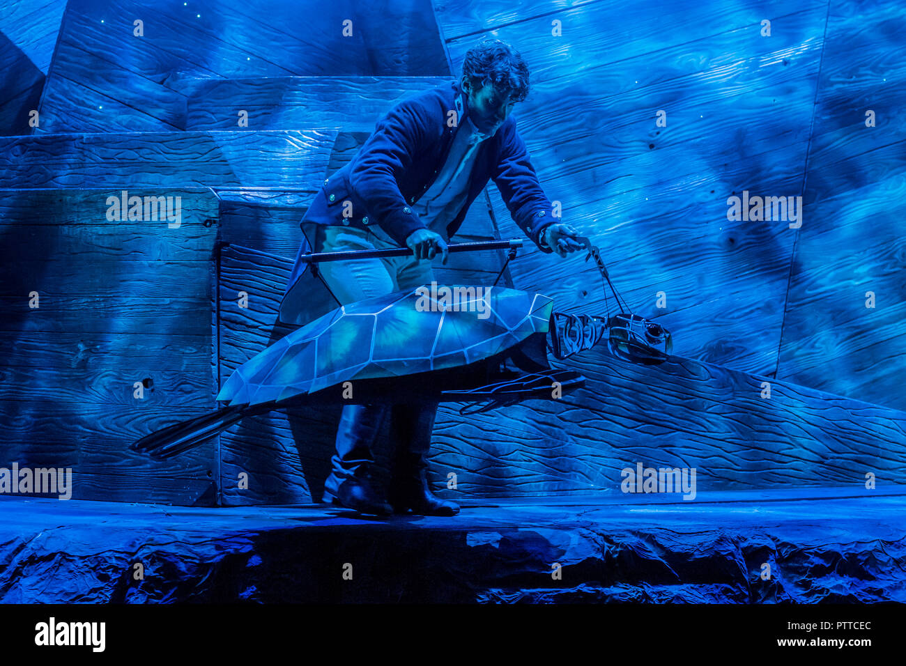 The Sea Turtle - The Wider Earth, a play about the story of young ...