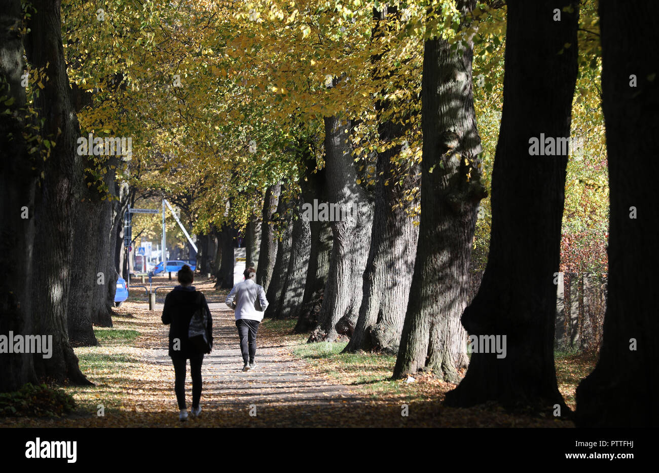 Lindenpark hi-res stock photography and images - Alamy