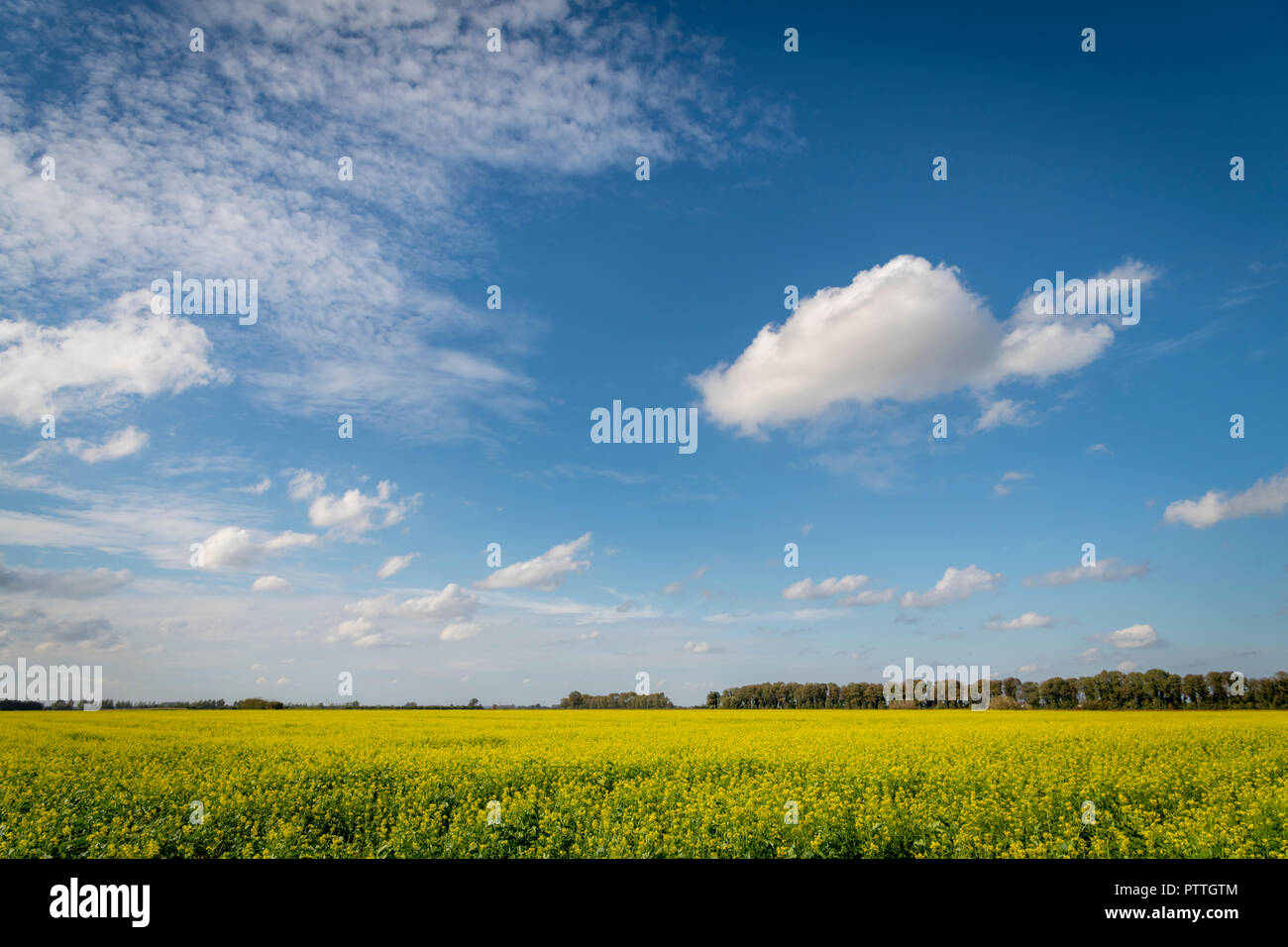 Fen farming hi-res stock photography and images - Alamy