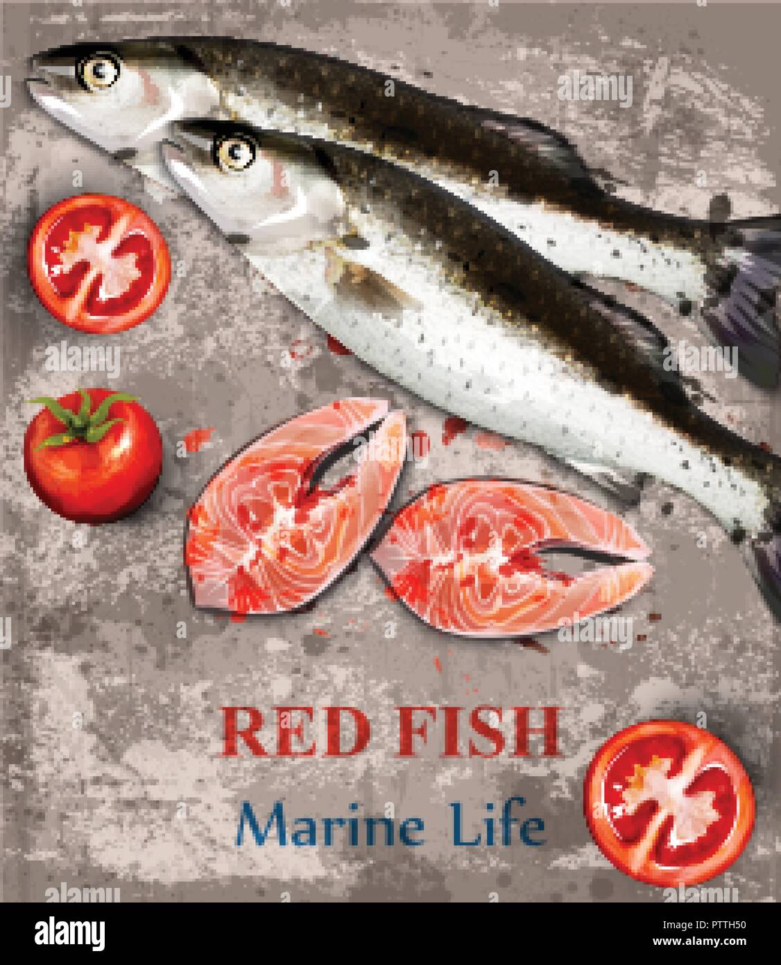 Salmon fish watercolor Vector. Fish steaks on vintage backgrounds. Menu ...