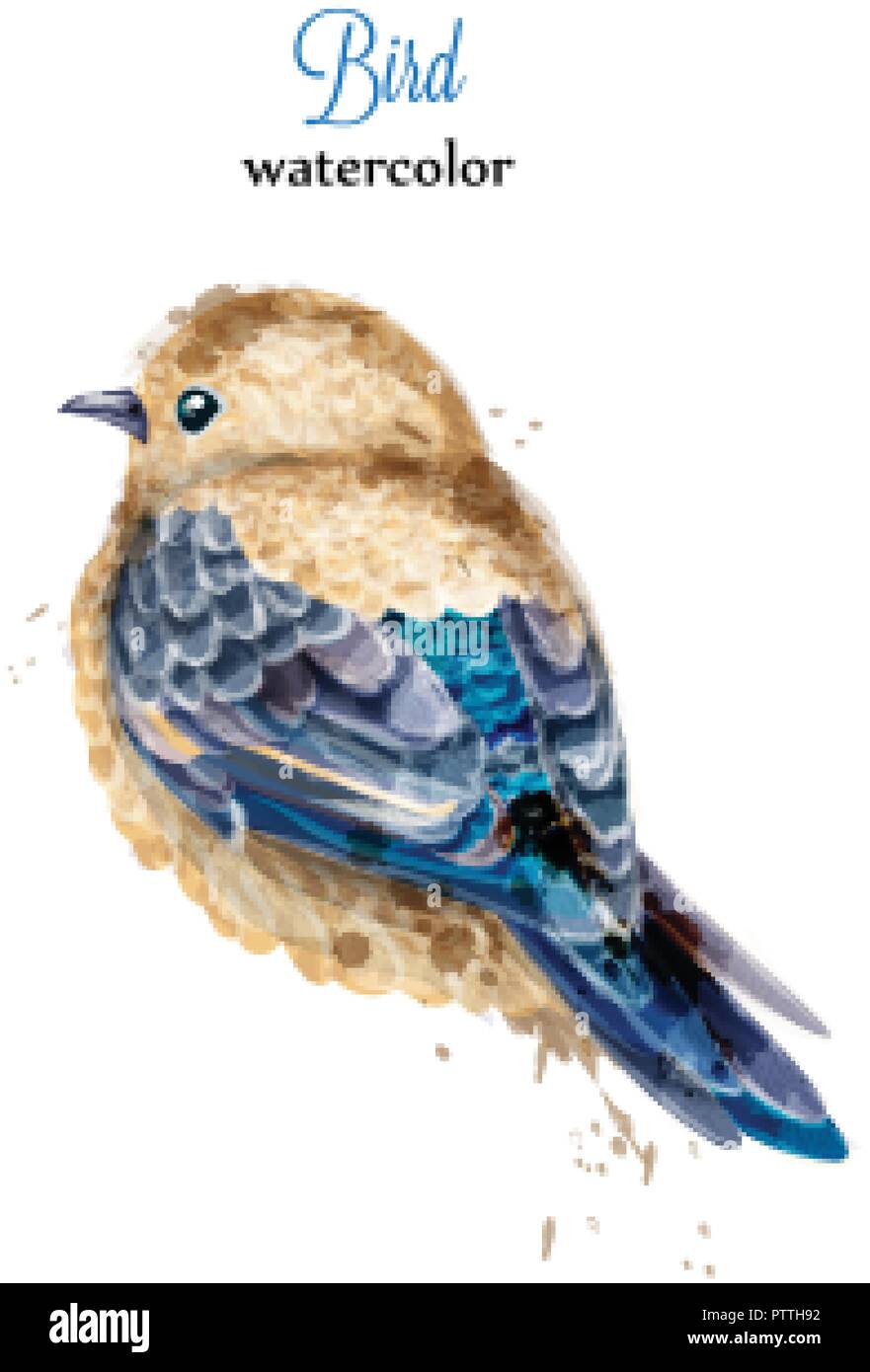 Watercolor bird Vector. Colorful painted style illustration Stock ...