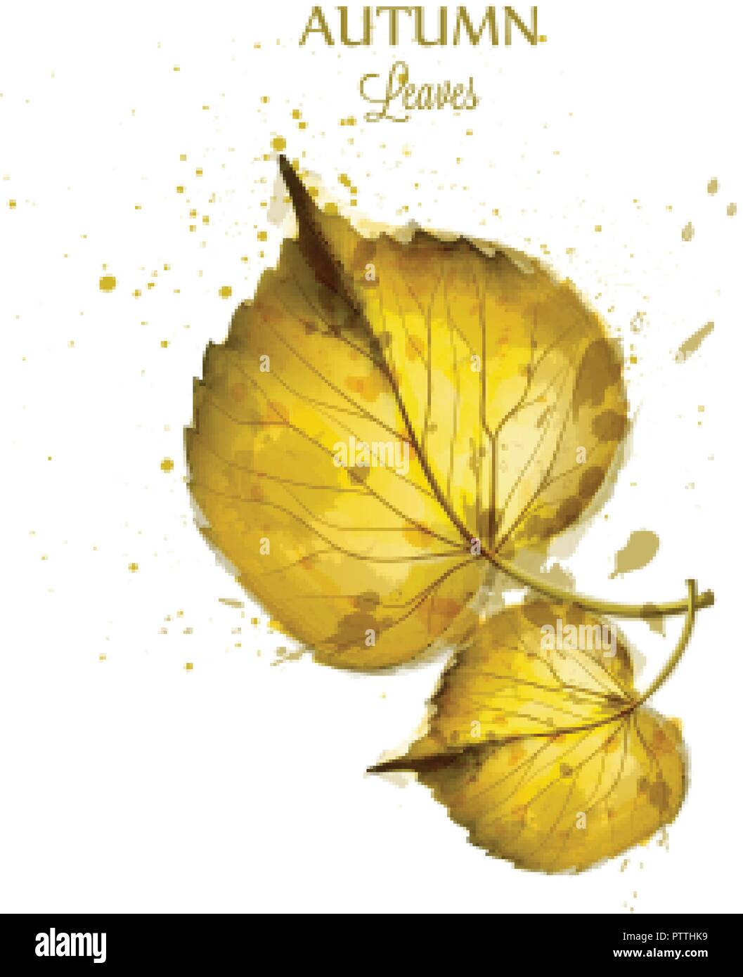 Autumn watercolor leaves Vector isolated on white background. Fall ...