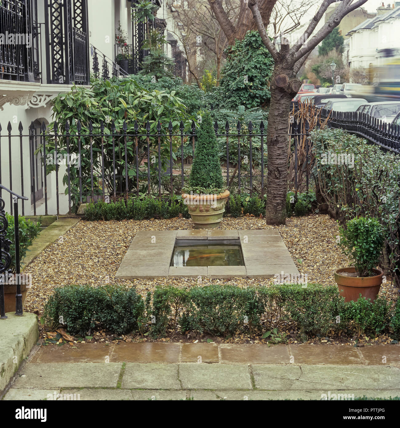 Paved fish pond in gravel front garden with clipped box hedge Stock ...