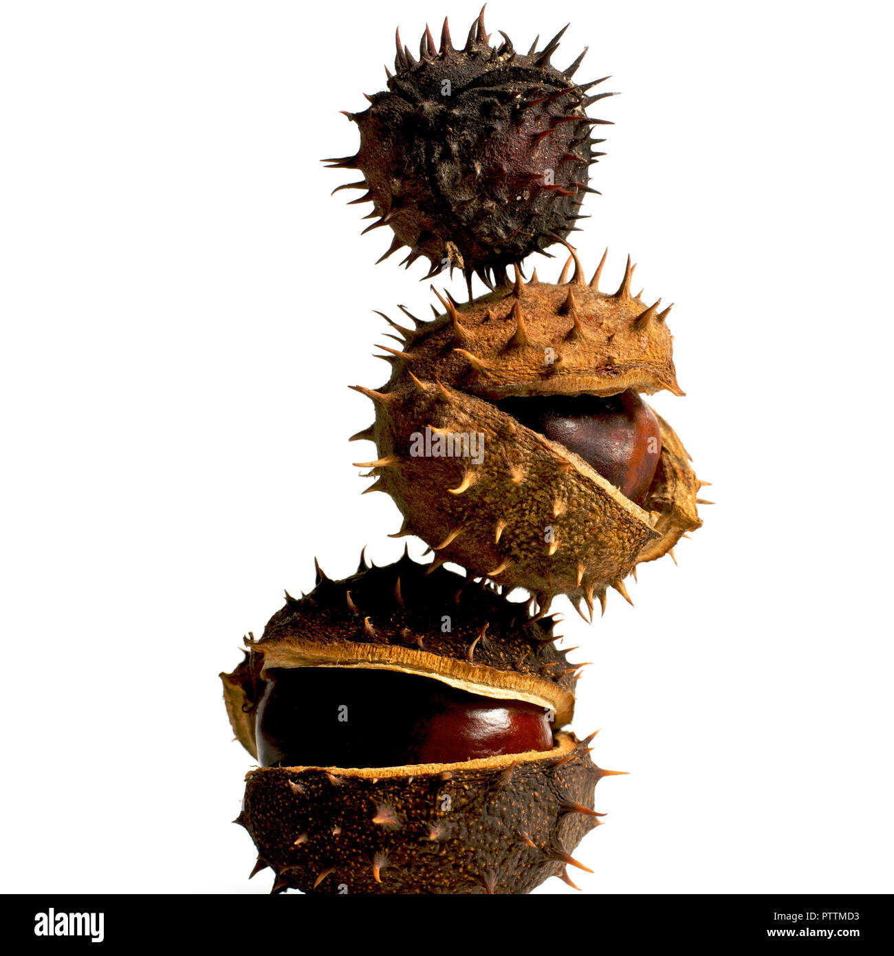 Shell stack hi-res stock photography and images - Alamy