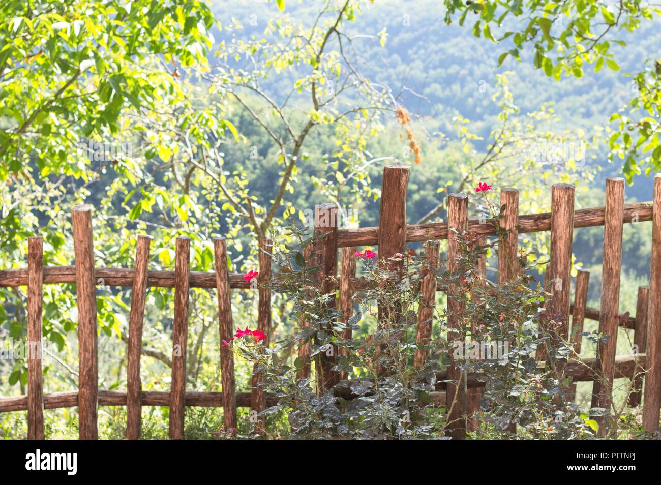 Field Of Red Roses High Resolution Stock Photography and Images - Alamy