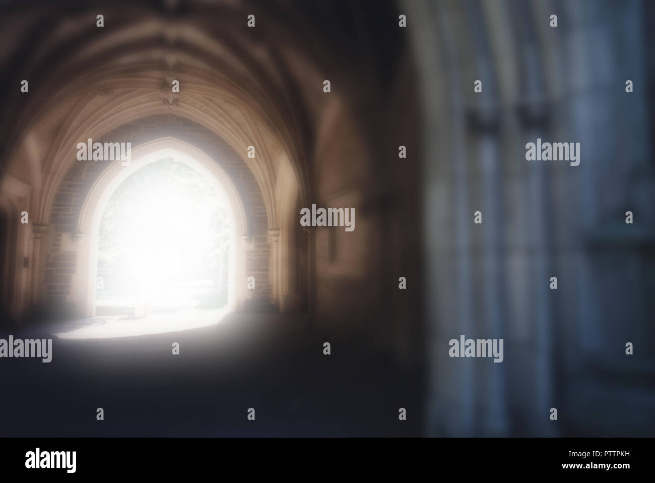 Gothic archway with light illuminating the path Stock Photo - Alamy