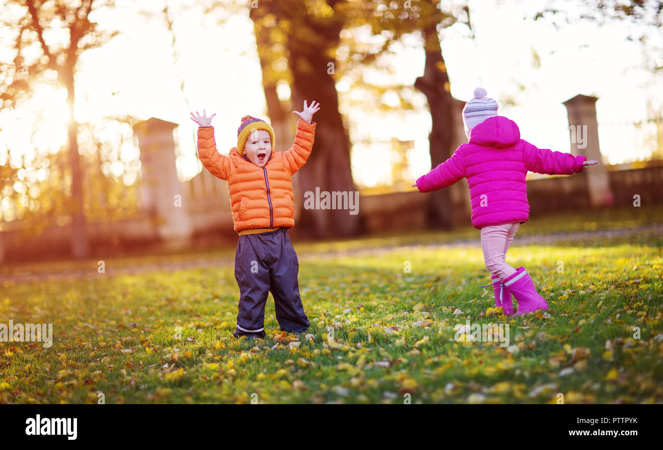 children throwing leaves in beautiful autumnal day Stock Photo - Alamy