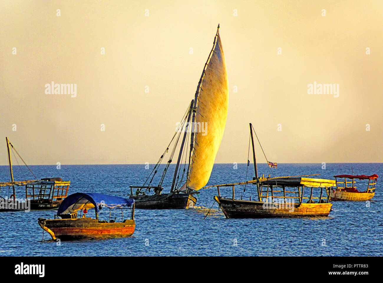 Traditional dhow sailing in Stone Town harbor of Zanzibar Stock Photo ...