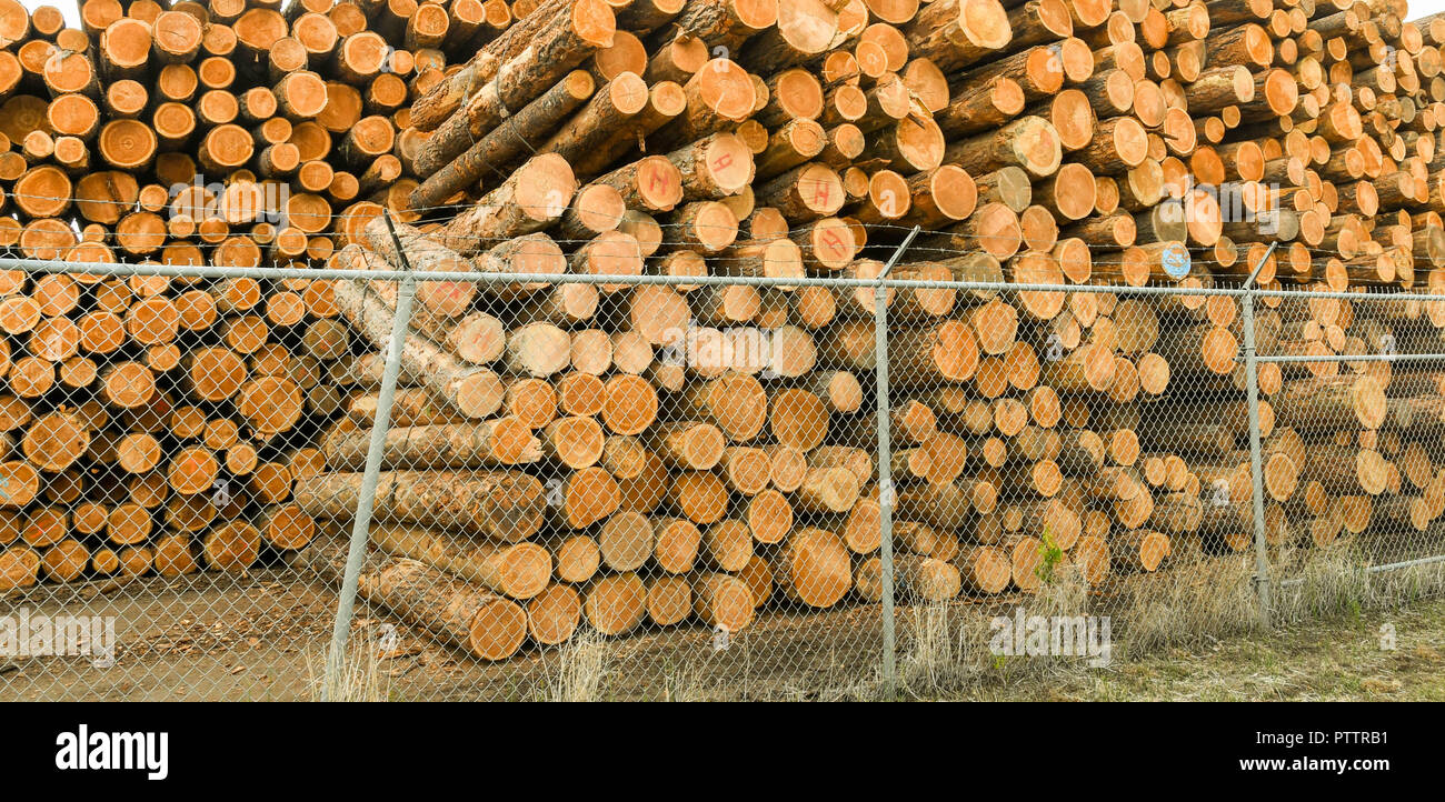 Lumber yard hi-res stock photography and images - Alamy