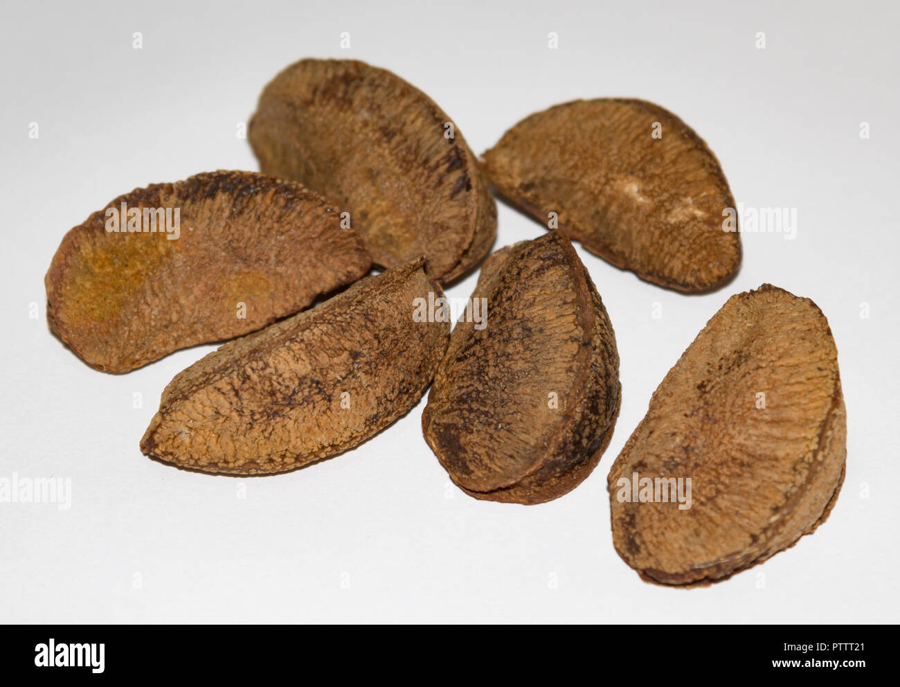 Traditional chestnut from the northern region of Brazil, synonymous ...