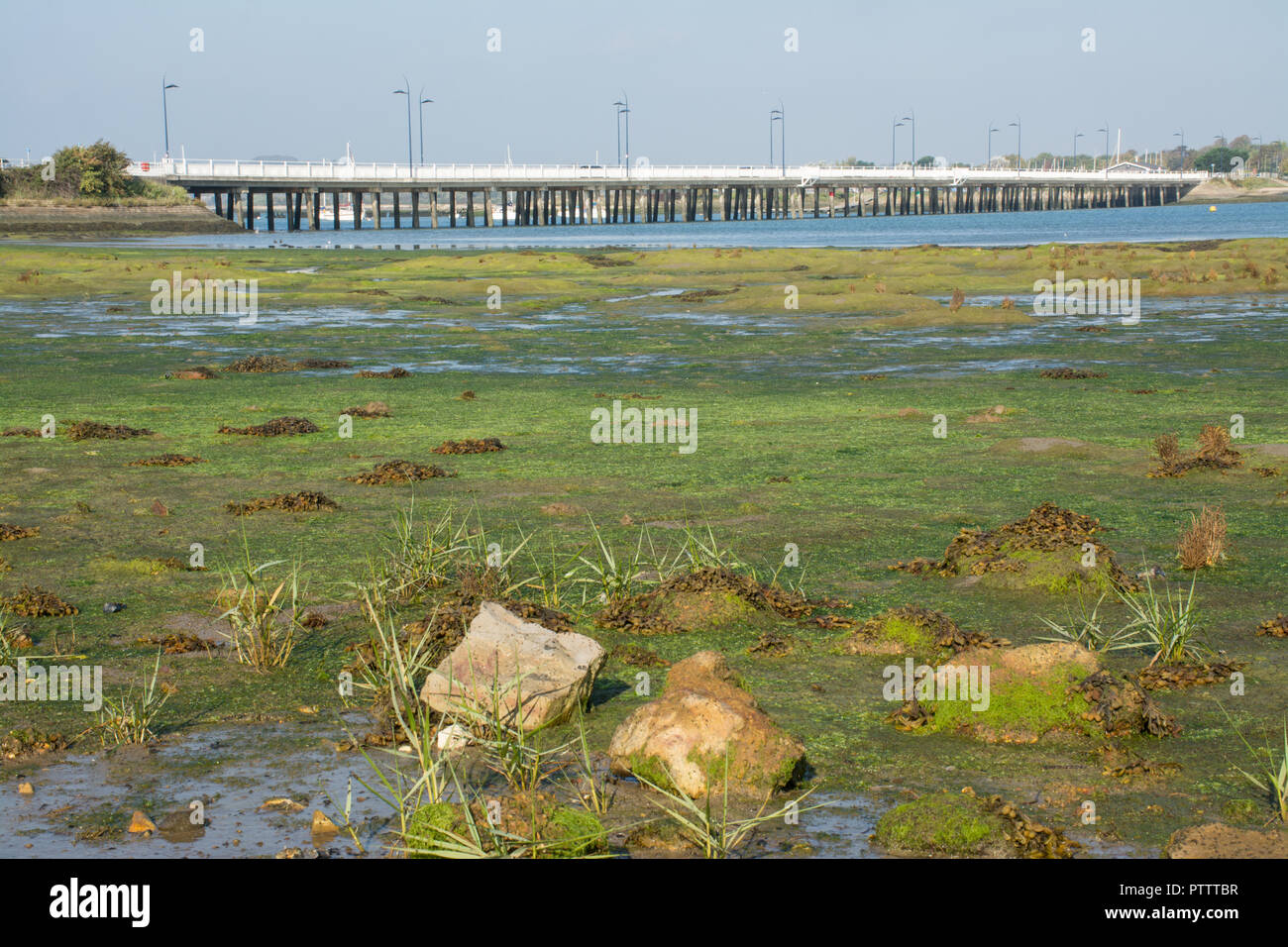 Rocky hampshire hi-res stock photography and images - Alamy