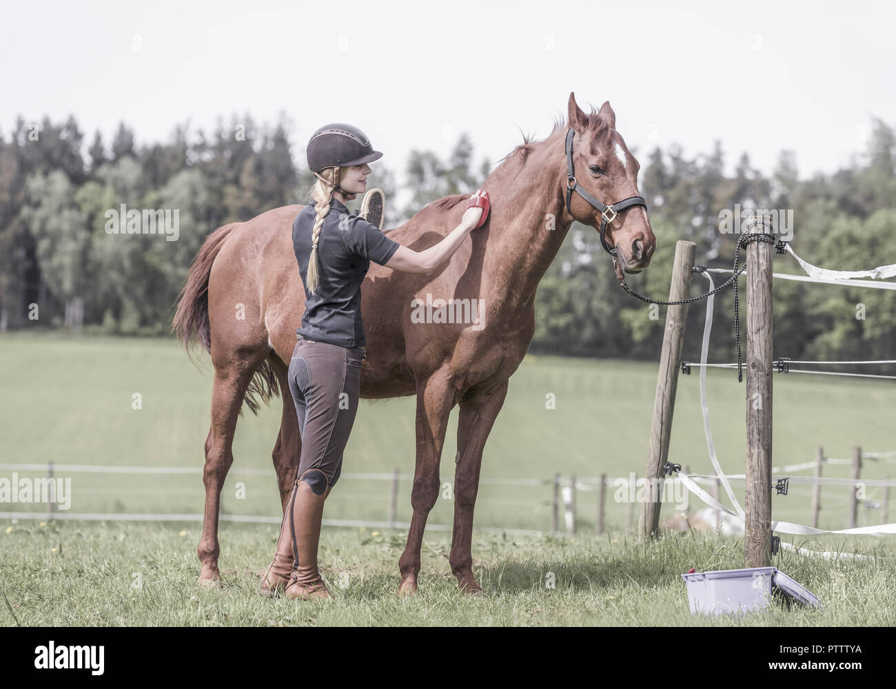 Reiterin High Resolution Stock Photography and Images - Alamy