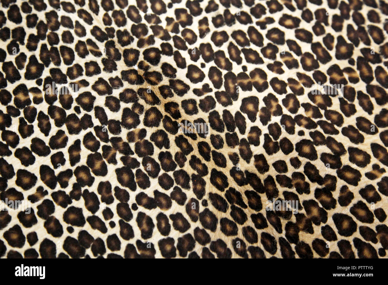 Safari style leopard hide pattern Stock Photo - Alamy