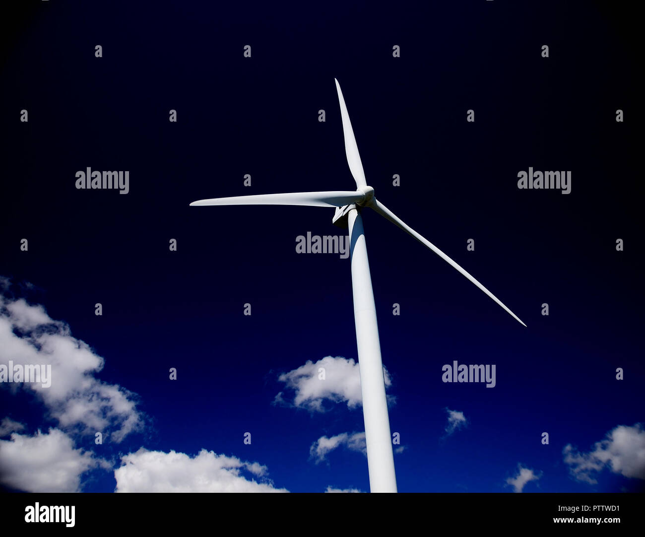 a wind turbine reaches towards the stratosphere with cumulus clouds ...