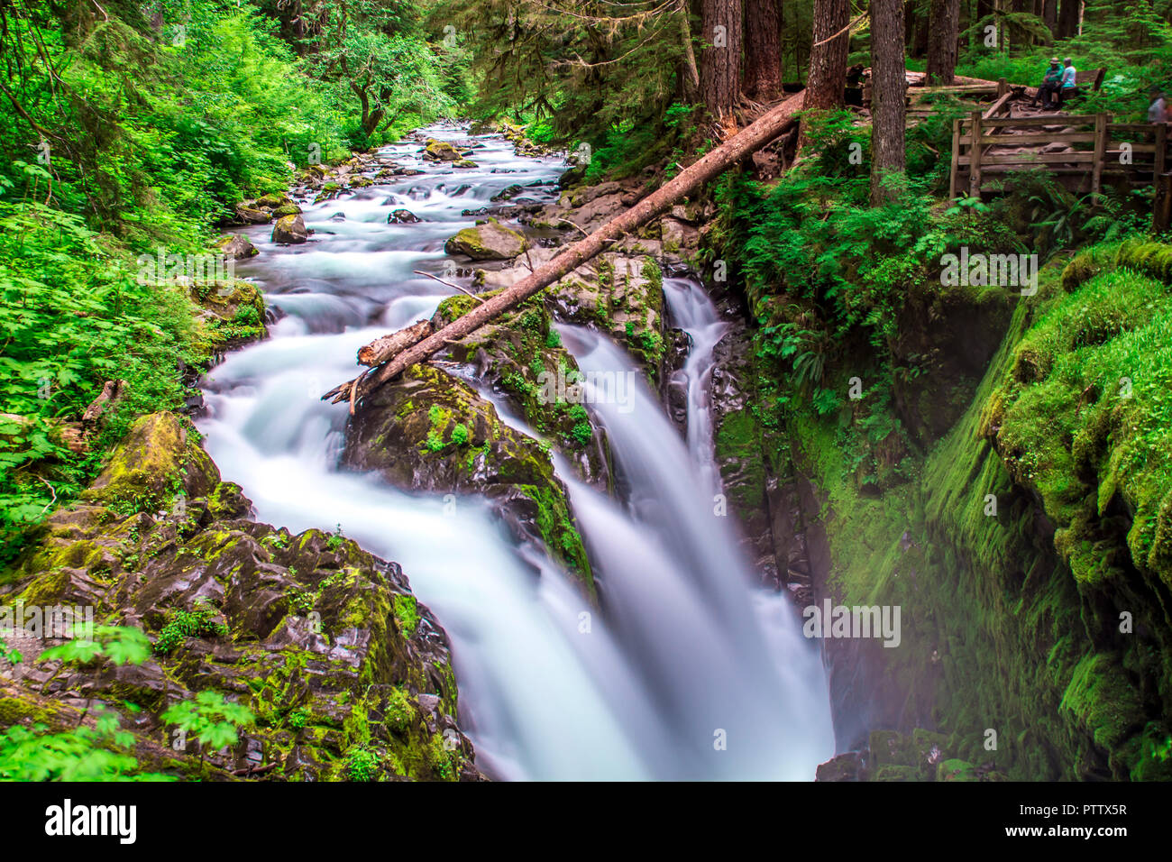 Sol Duc Falls in Olympic National Park, Washington Stock Photo - Alamy