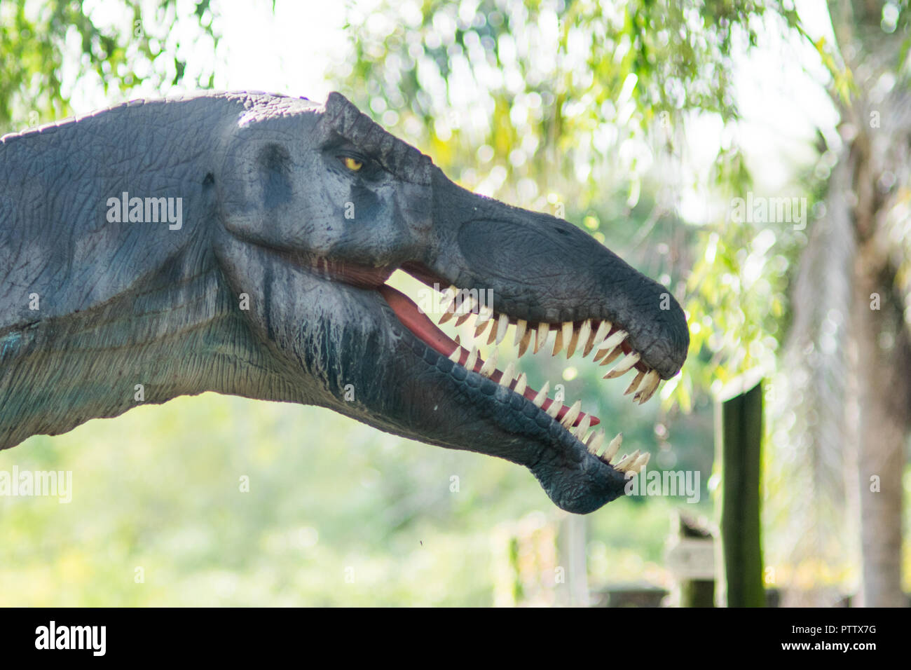 Spinosaurus Head Close up Stock Photo - Alamy
