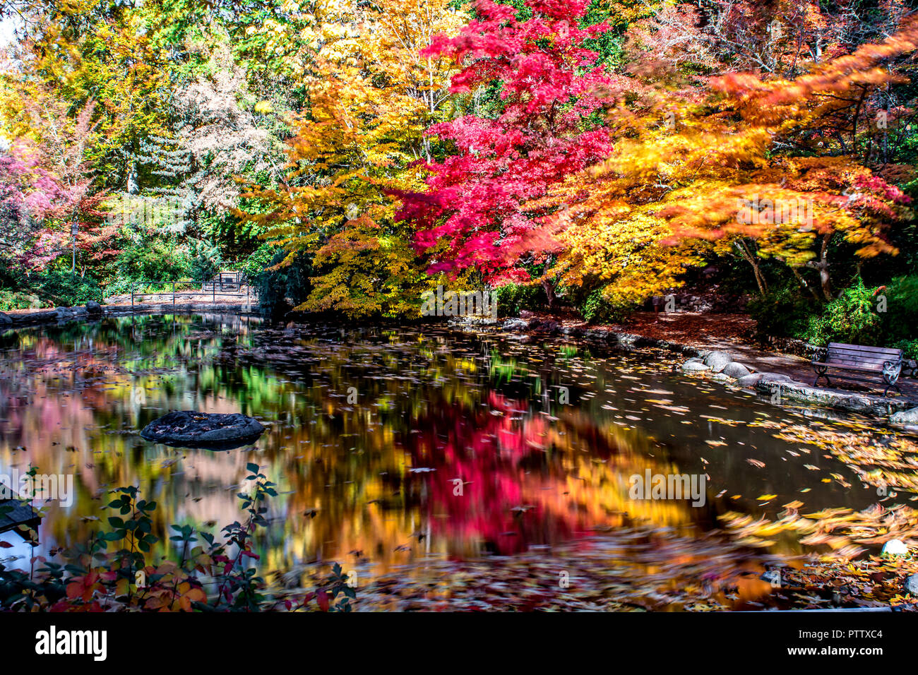 Lithia Park Ashland High Resolution Stock Photography and Images - Alamy