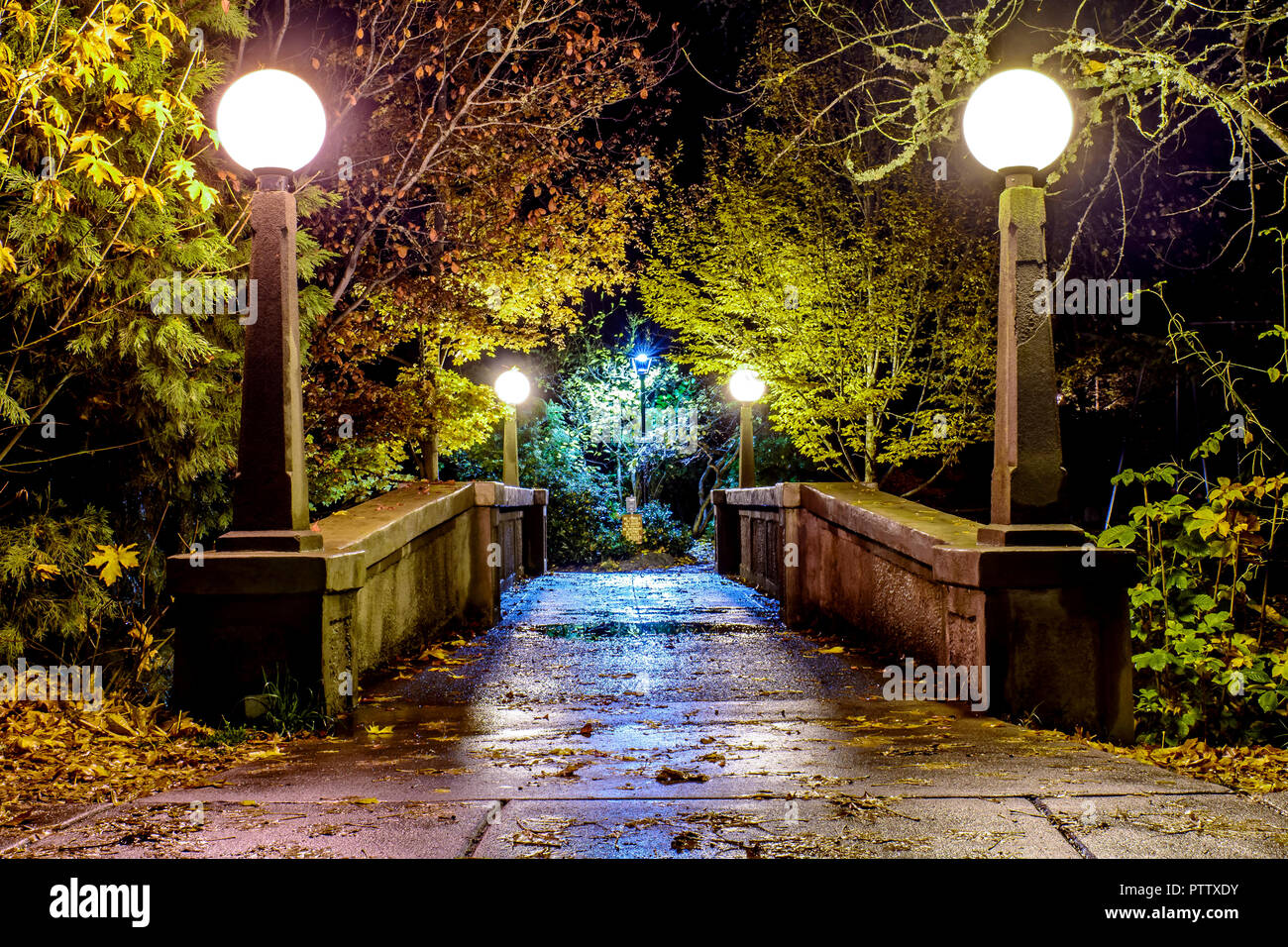Bridge at night in Lithia Park in Ashland, Oregon Stock Photo - Alamy