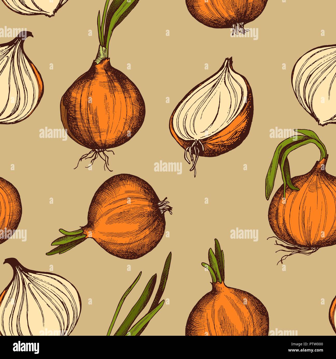 Vector seamless pattern of onions. Hand drawn vector illustration Stock ...