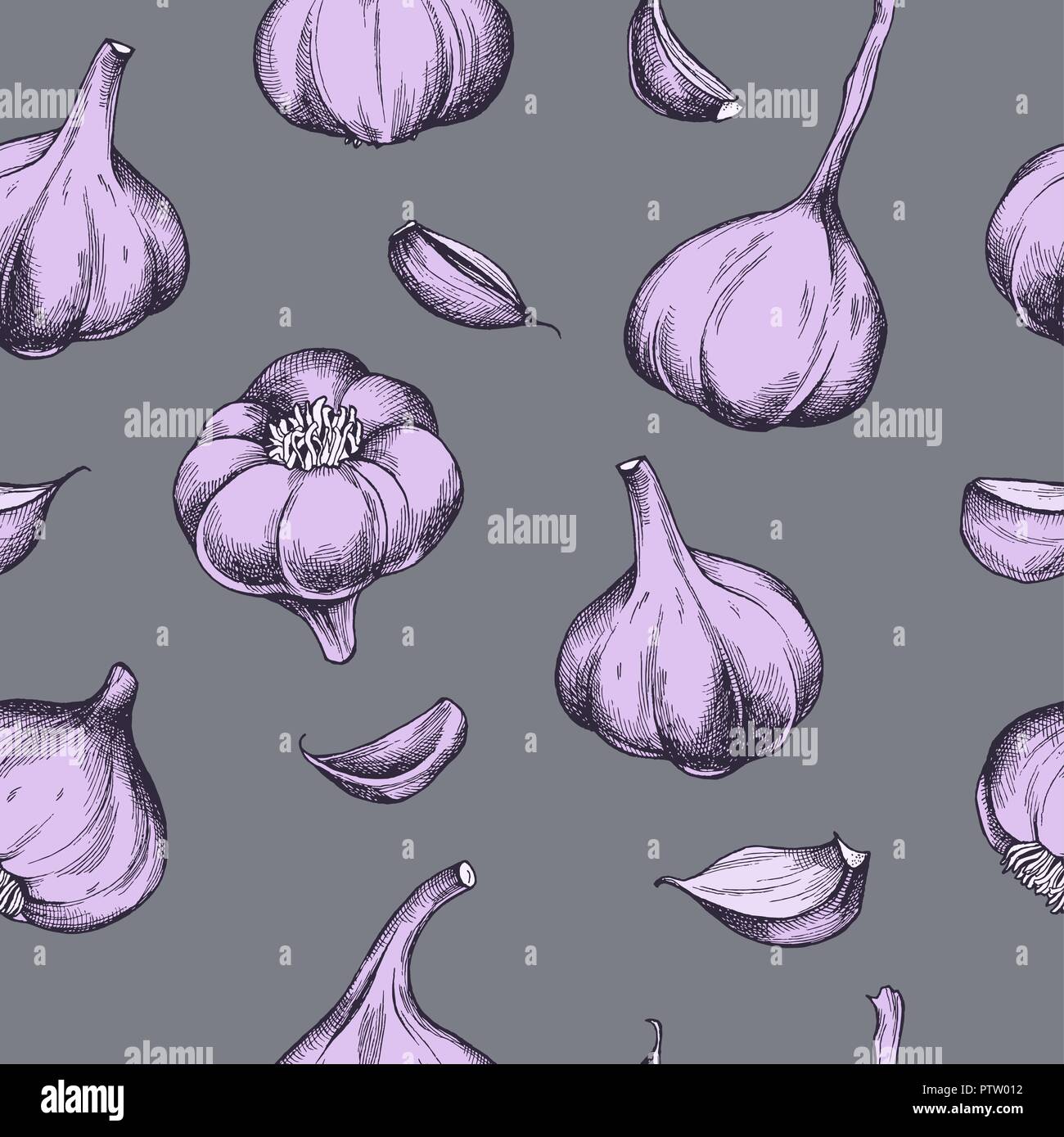 Vector seamless pattern of garlic. Hand drawn vector illustration Stock ...