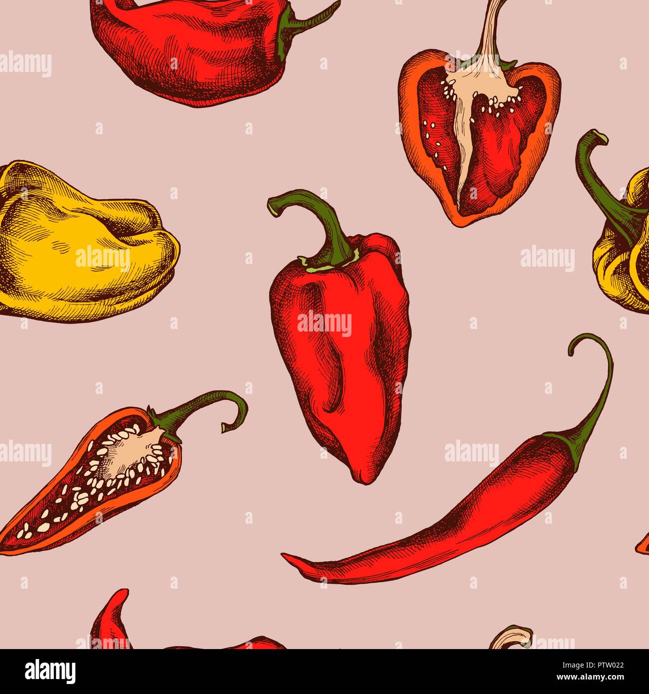 Vector seamless pattern of peppers Hand drawn vector illustration Stock ...