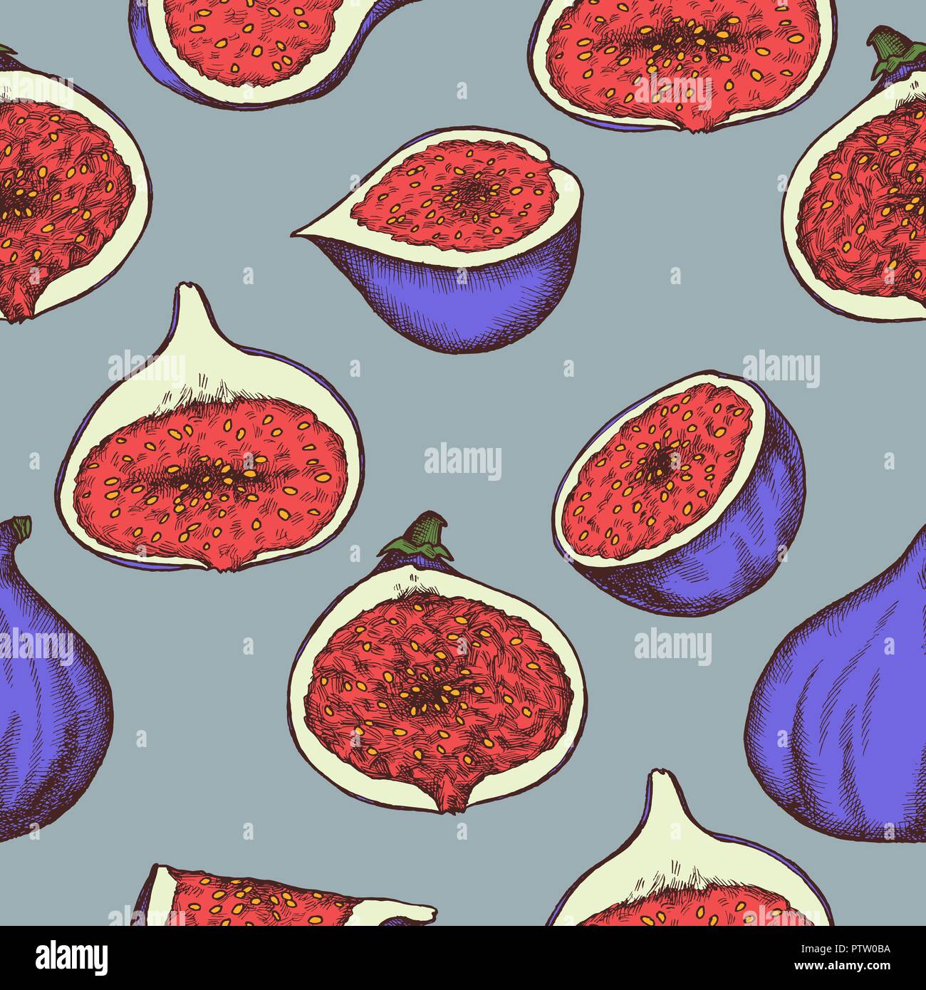 Vector seamless pattern of figs. Hand drawn vector illustration Stock ...