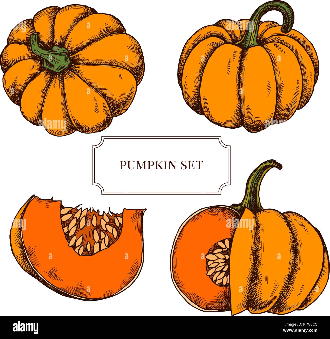 Pumkins Stock Vector Images - Alamy