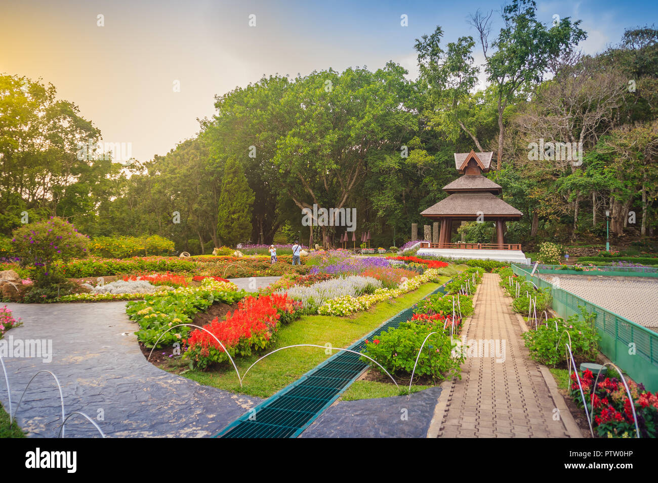 Colorful landscape view of flower garden and northern Thai's style ...