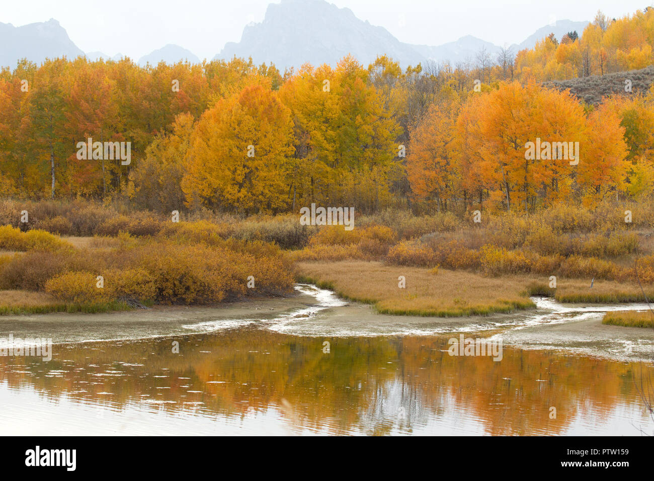 Fall Color Oxbow Bend Stock Photo - Alamy