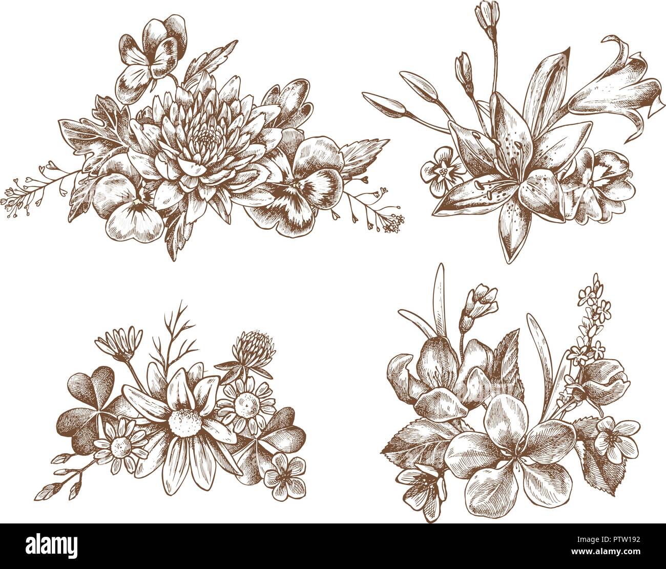 Vector collection of hand drawn autumn flowers Stock Vector Image & Art ...