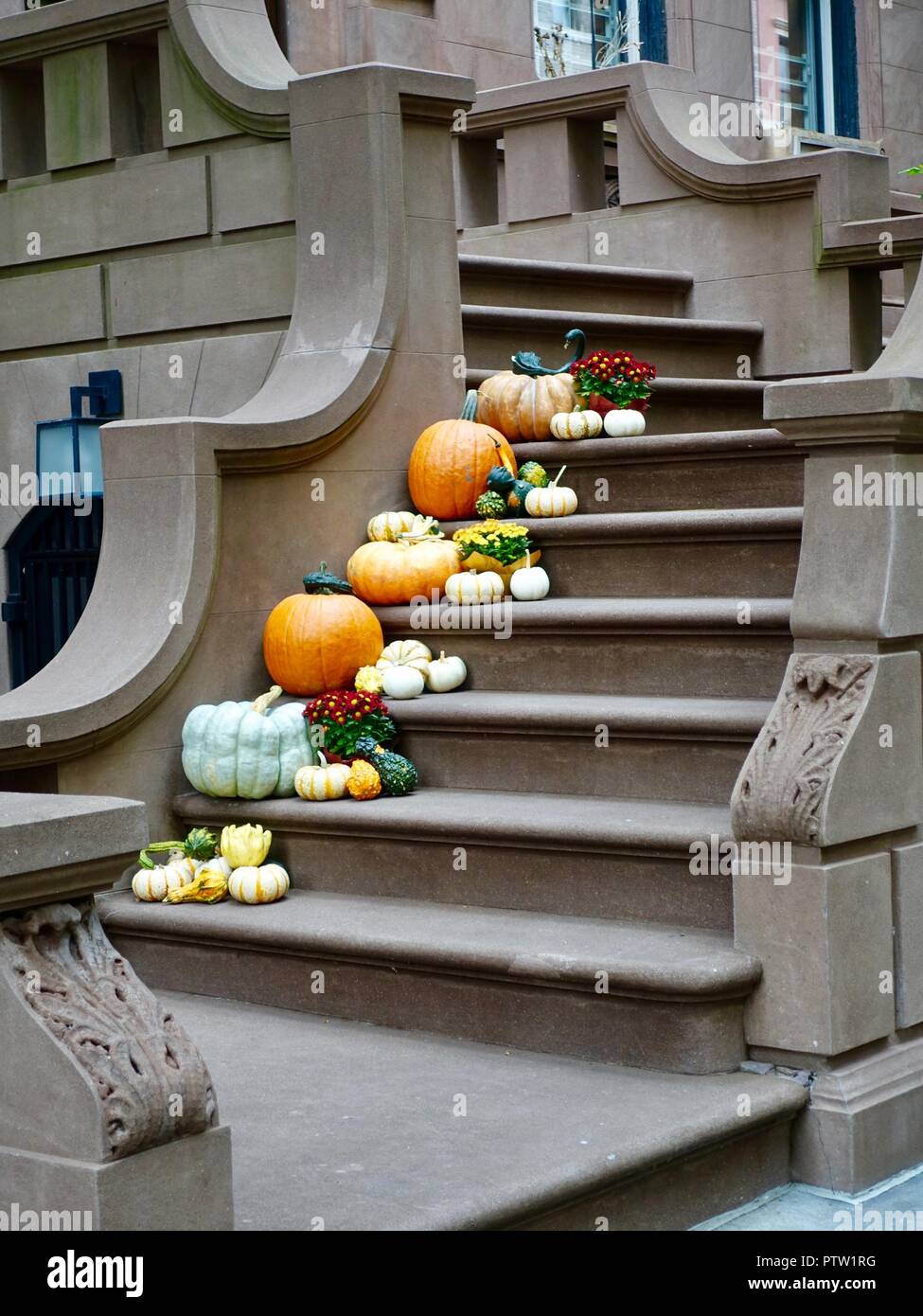 Autumnal display of pumpkins and squash line the steps of un upper ...