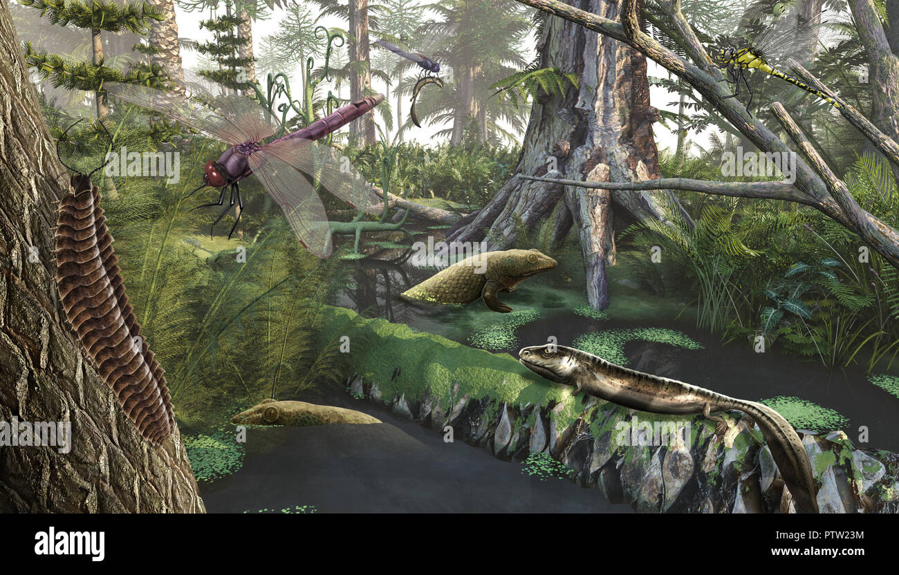 Devonian fish hi-res stock photography and images - Alamy