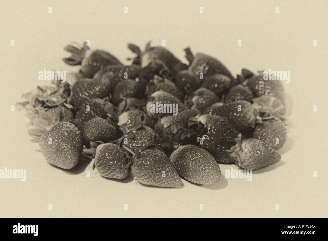 Musk Strawberry Fragaria Moschata High Resolution Stock Photography and ...