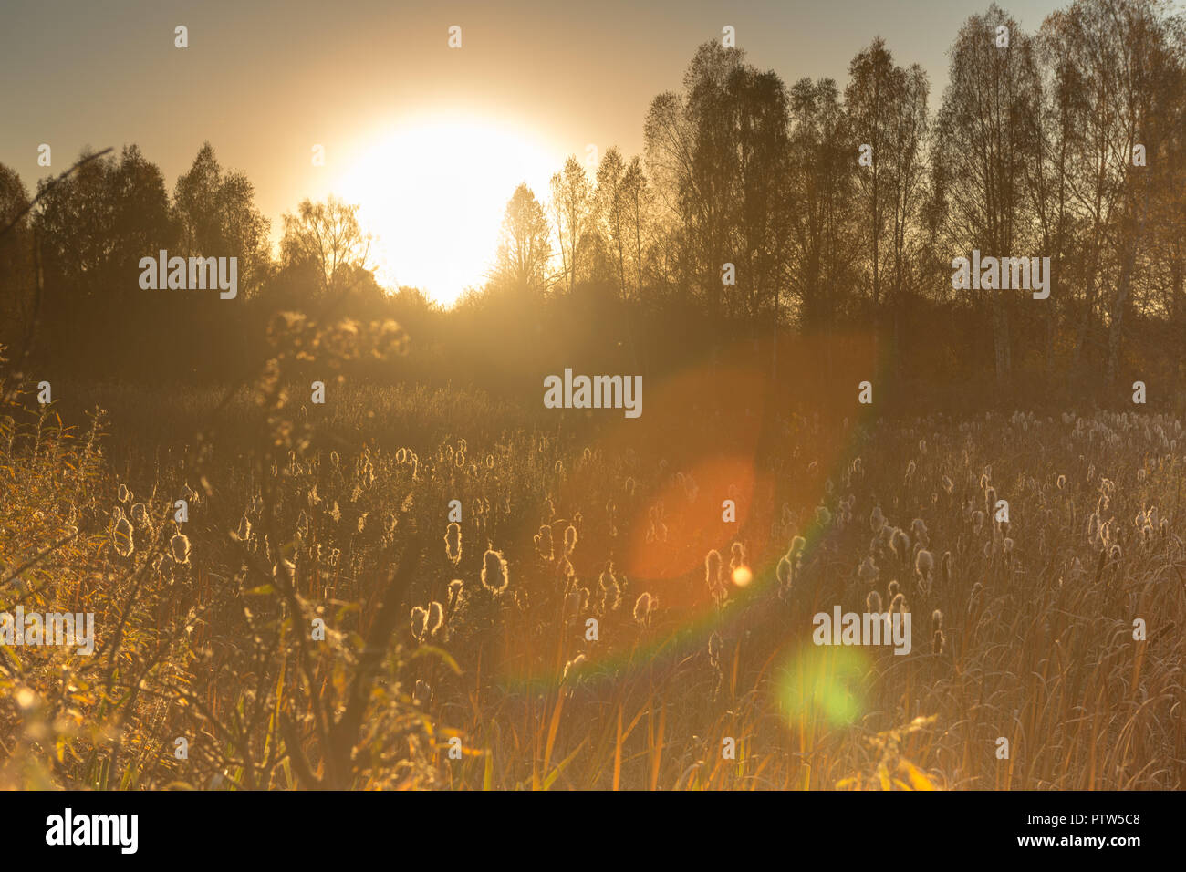 The glare of the sun, sunlight,sunset, warm day Stock Photo - Alamy