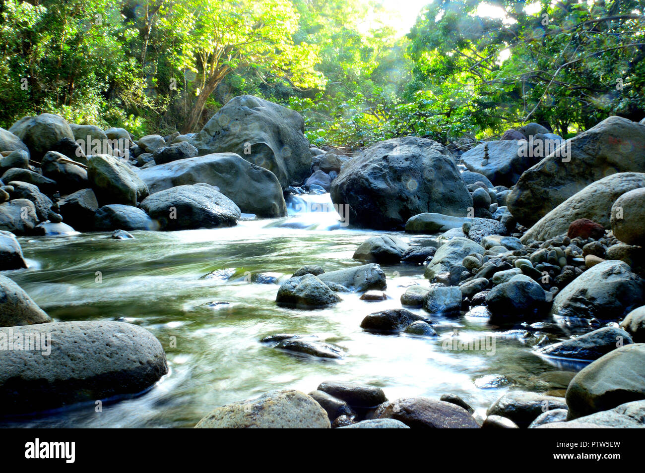 Hawaiian Stream in the Jungle Stock Photo - Alamy