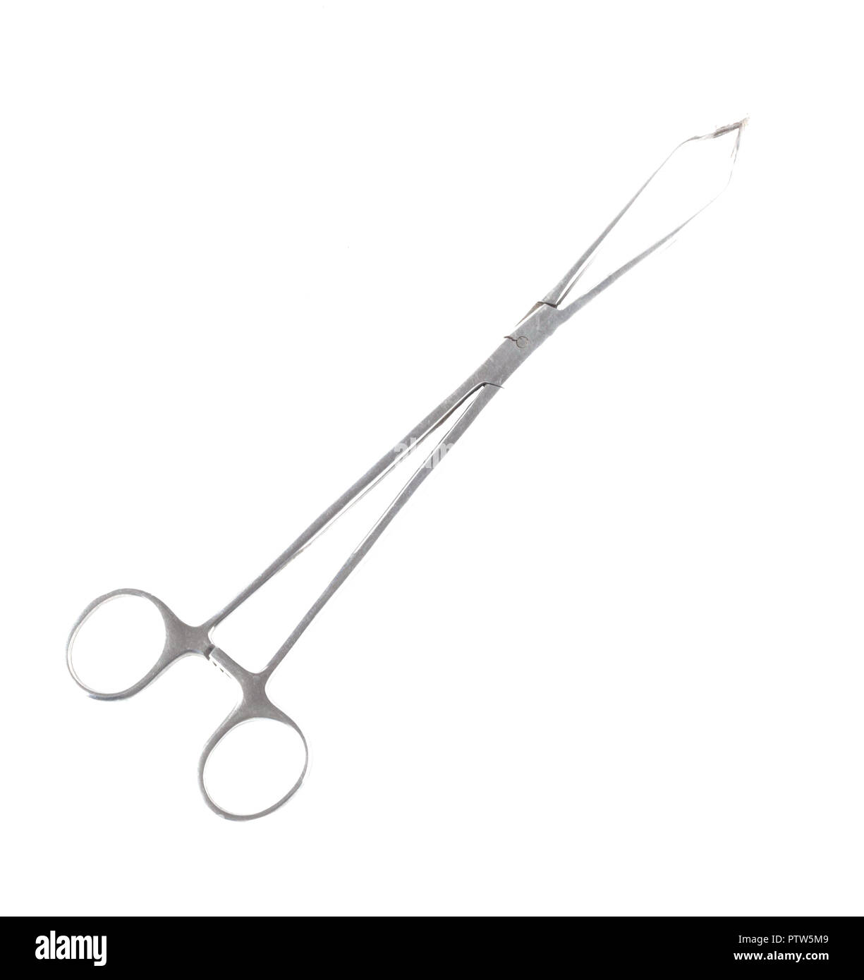 Long medical scissors on white background, isolate, shears Stock Photo ...