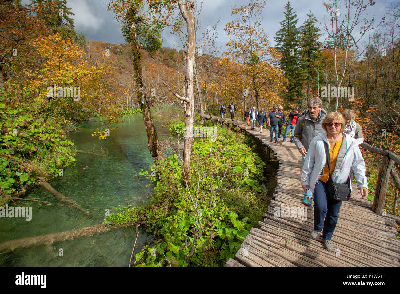Plitvice maple hi-res stock photography and images - Alamy