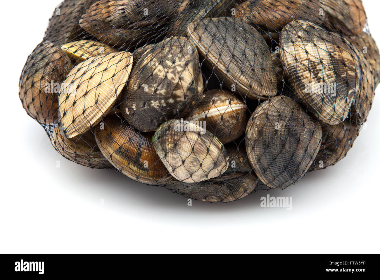 Group of clams hi-res stock photography and images - Alamy