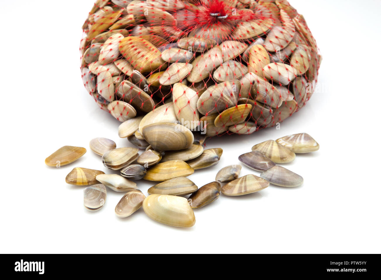 small clams on white background Stock Photo - Alamy