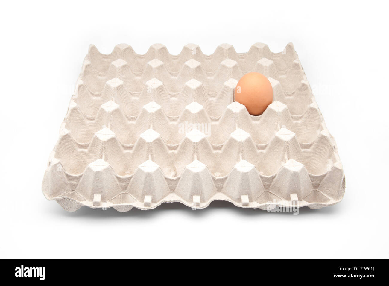 egg box with a single egg Stock Photo - Alamy