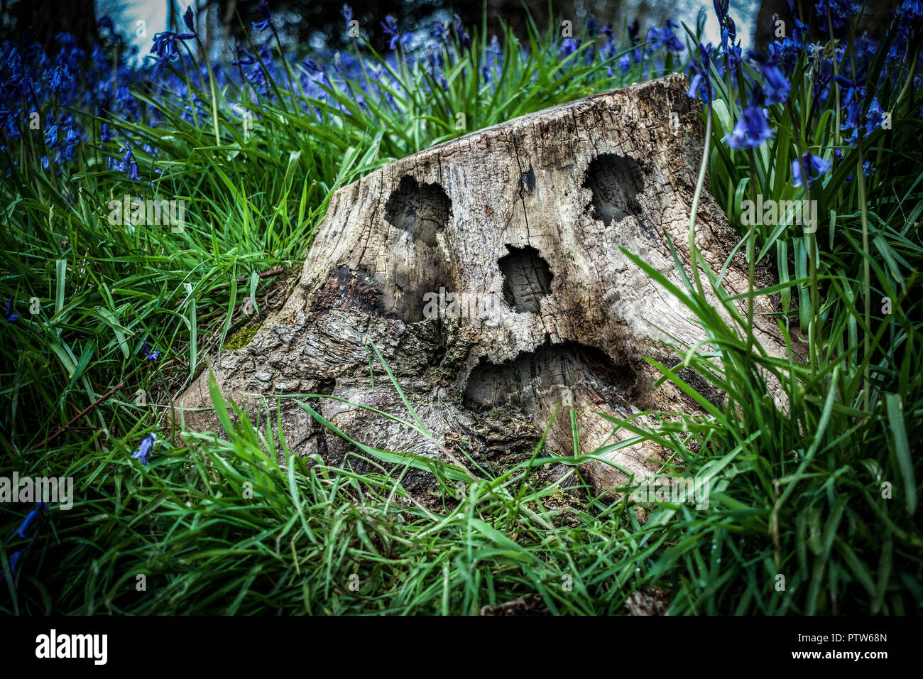 Horror Plants High Resolution Stock Photography and Images - Alamy