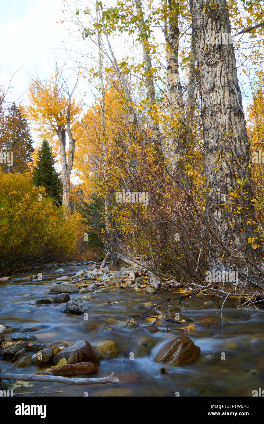 Slow creek hi-res stock photography and images - Alamy
