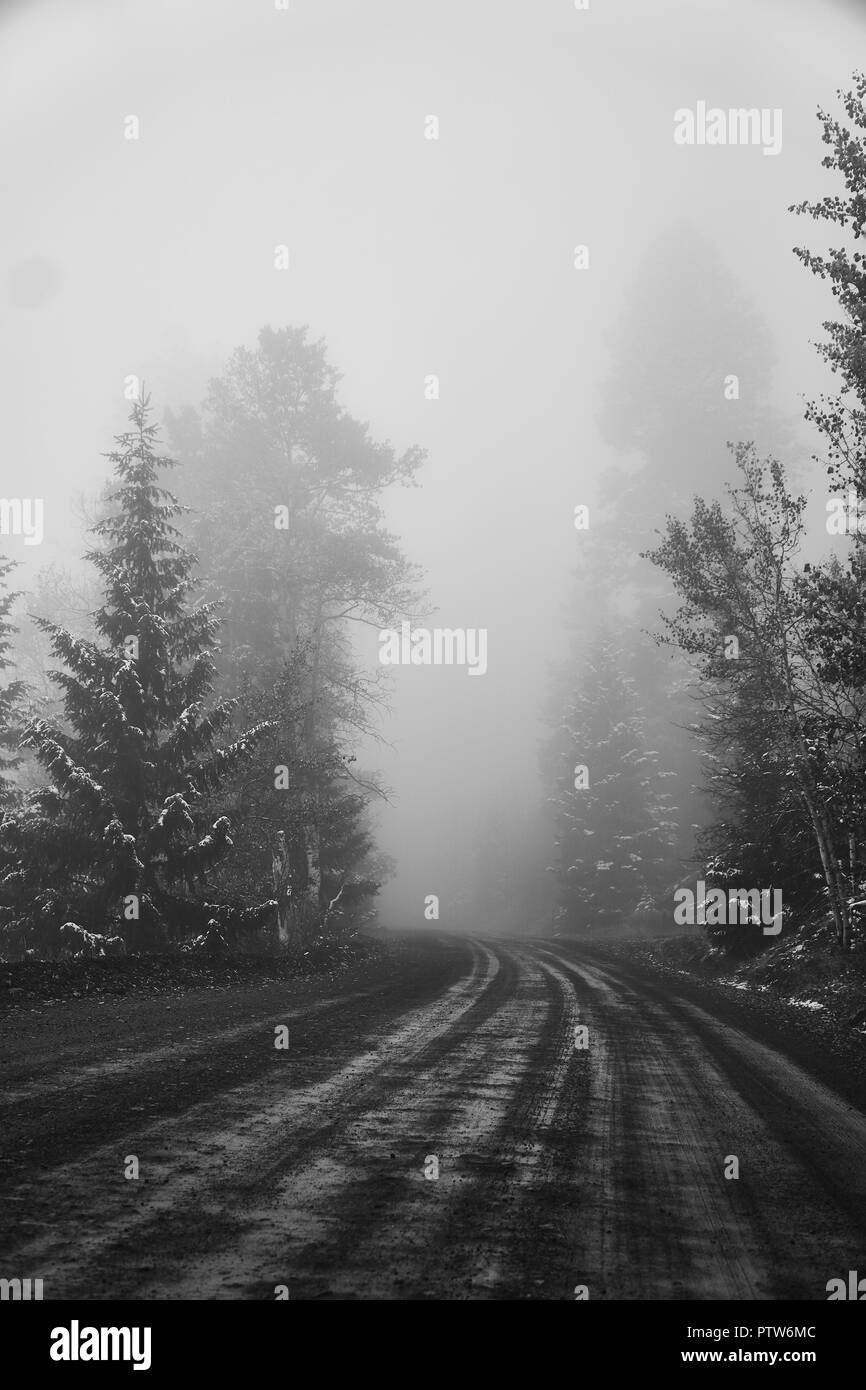 Dirt road in national Black and White Stock Photos & Images - Alamy