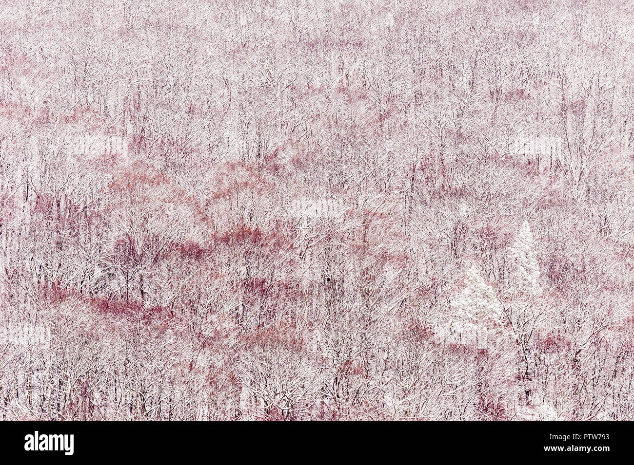 Hogback dam hi-res stock photography and images - Alamy